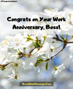 Best Congratulations Messages to Boss on Work Anniversary