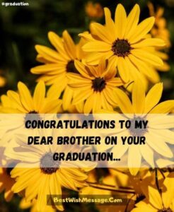 55+ Best Graduation Wishes for Brother | Congratulations Messages