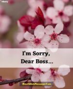 45+ Sorry Messages for Boss | Professional Apology Letters