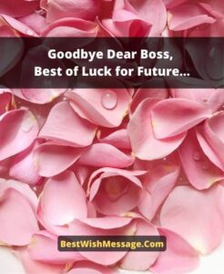 Goodbye Message to Boss | Farewell Wishes to Wish Him Luck