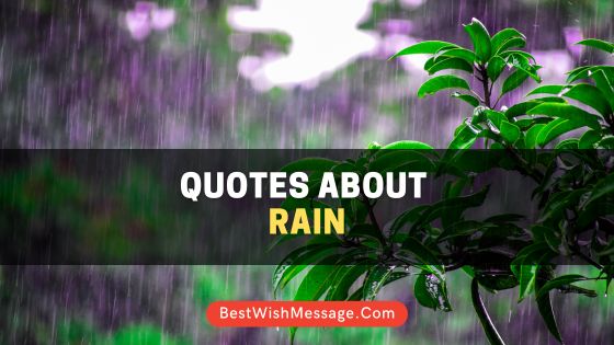 Raindrops of Wisdom: 45 Quotes That Celebrate the Beauty of Rain
