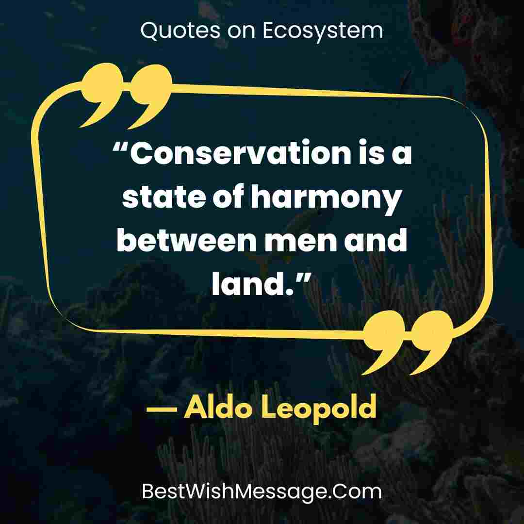 The Balance of Life: 50 Thought-Provoking Quotes About Ecosystems